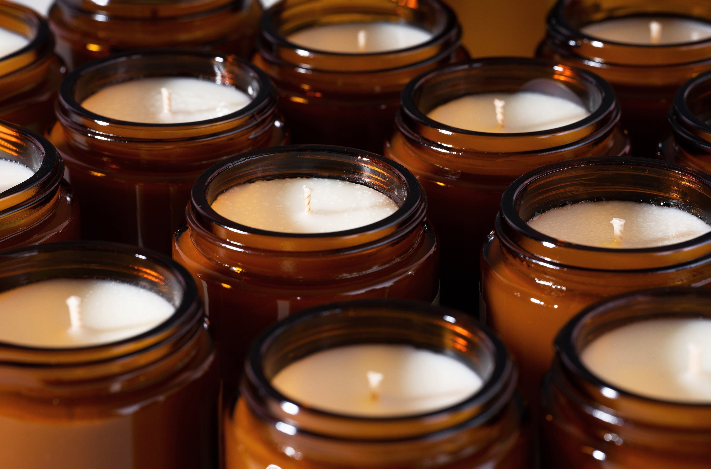 Lavender Ridge Farms