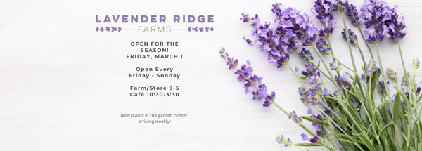 Lavender Ridge Farms